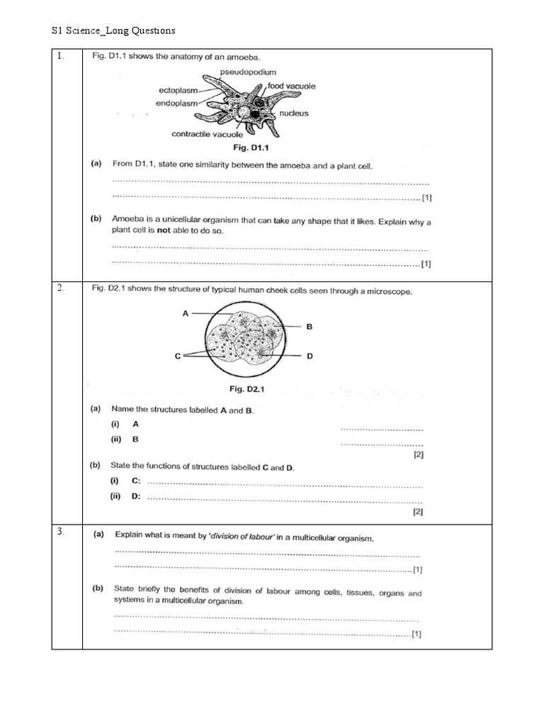 S1 Science Long Questions & Answers | PDF | Science & Mathematics ...
