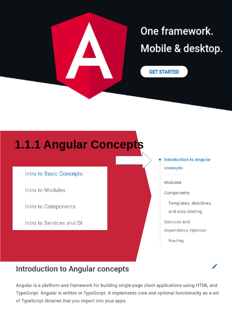 Angular Documentation | PDF