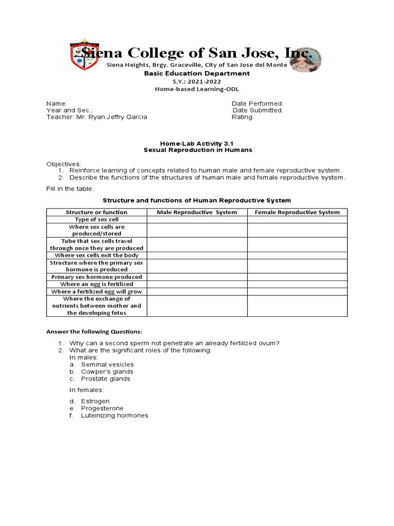 Home-Lab Activity: Human Reproduction | PDF | Wellness