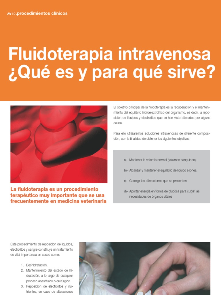6 Fluidoterapia Intravenosa ¿Qué Es y para Qué Sirve? | PDF ...