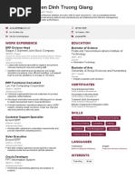 Aashika MB: Work Experience Core Competencies | PDF | Recruitment | Multilingualism