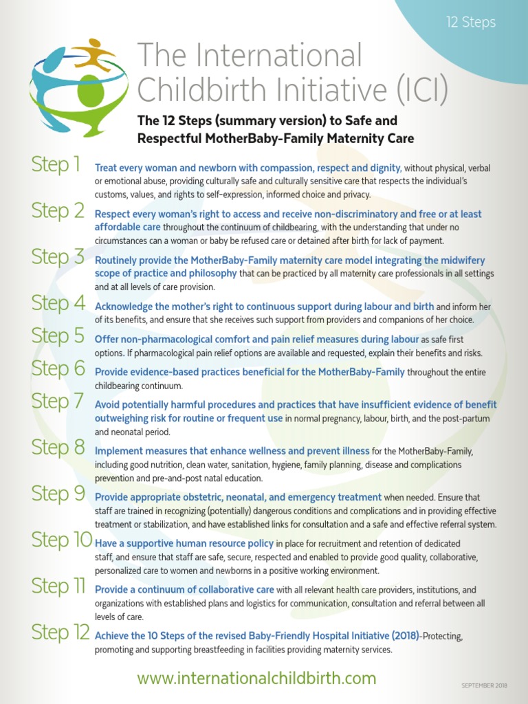 Steps To Safe - Respectful Maternity Care | PDF | Childbirth | Midwifery