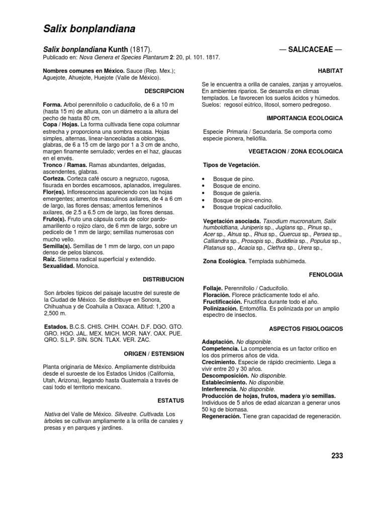 Ahuejote | PDF | Germinación | Sauce