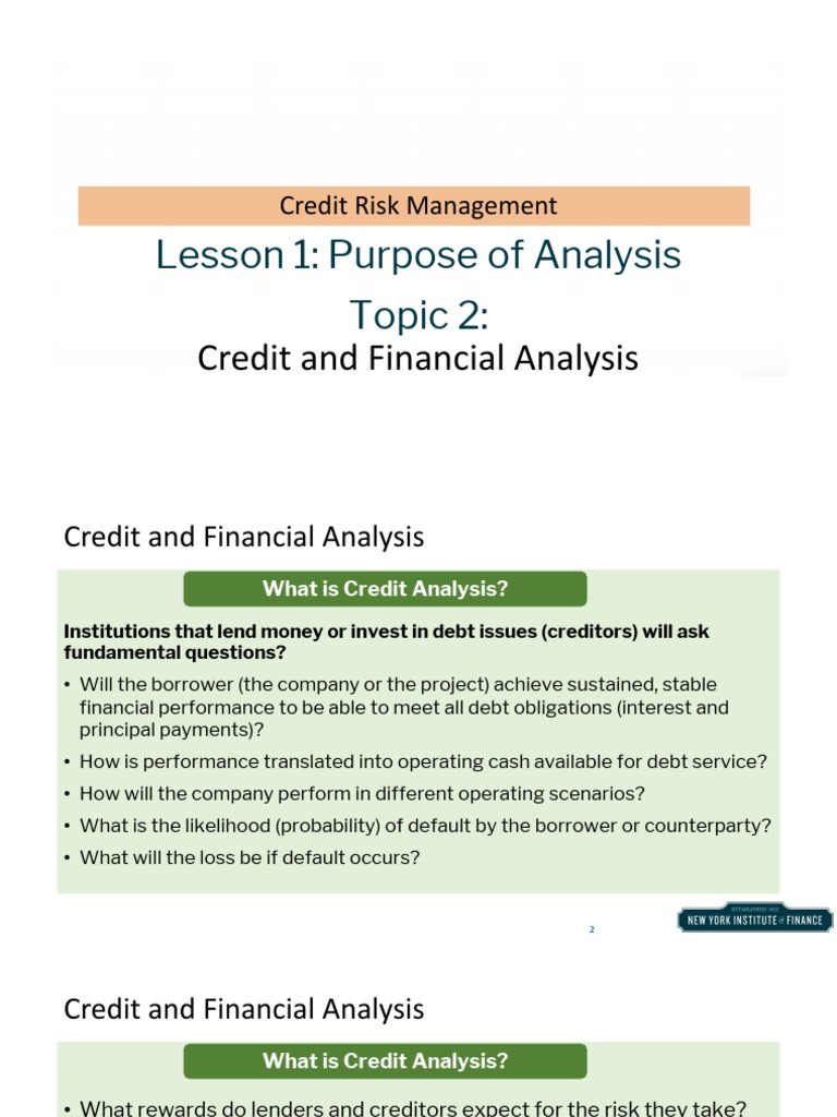 Lesson1 Topic 2 Credit and Financial Analysis-Notes | PDF | Debt ...