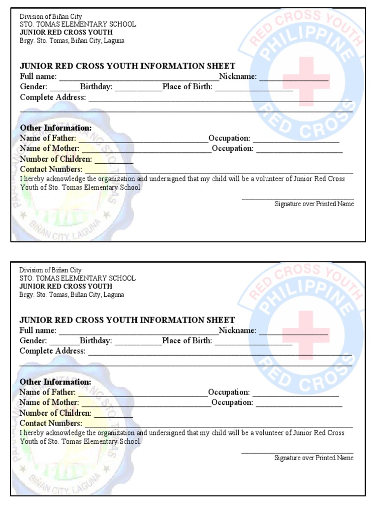 Red Cross Information Sheet | PDF