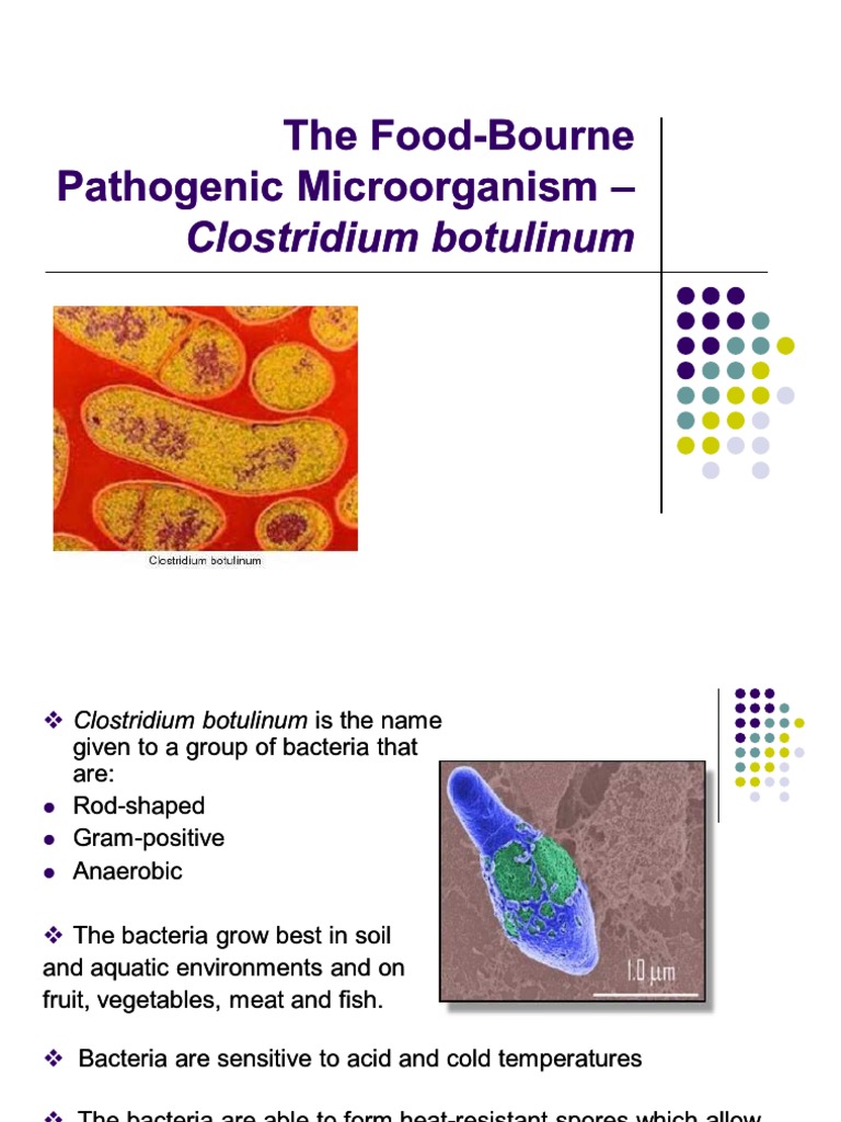 Clostridium Botulinum Presentation | Botulinum Toxin | Medical Specialties