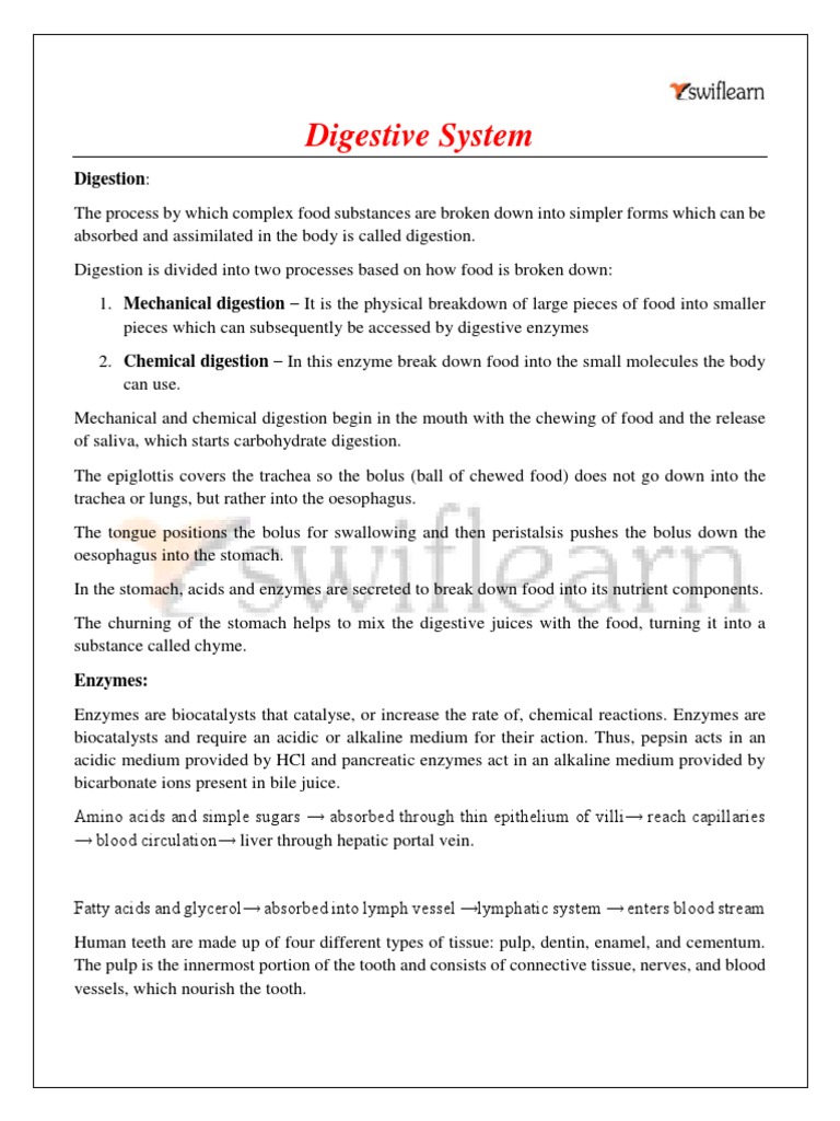 Digestive-System Notes | Download Free PDF | Digestion | Small Intestine