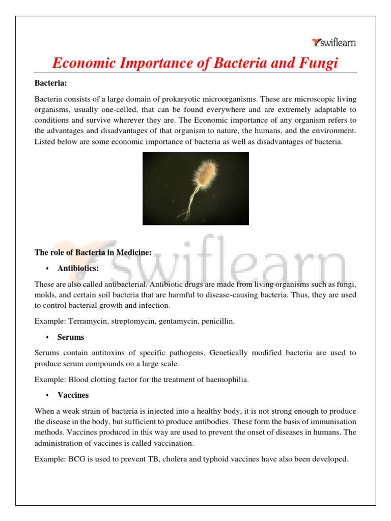 Economic-Importance-of-Bacteria-and-Fungi Notes | PDF | Bacteria | Vaccines