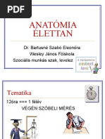 Az Emberi Test Felépítése Anatómia Ápolás | PDF