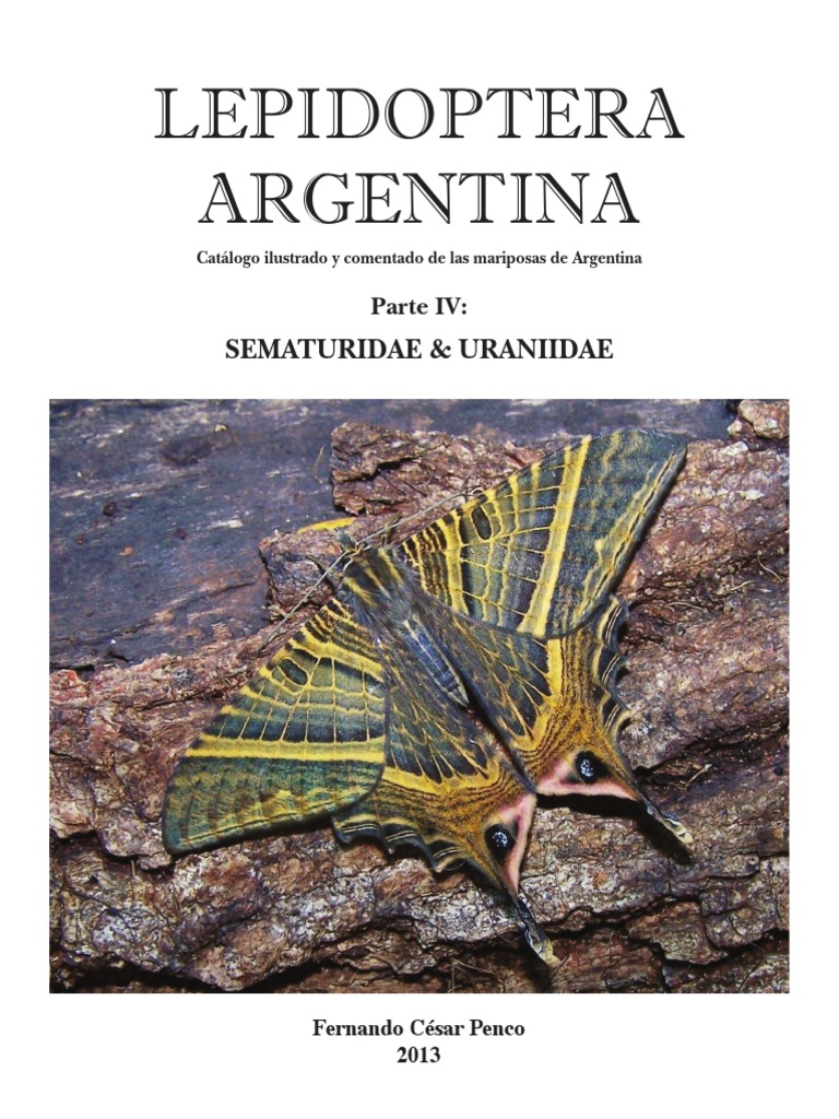 Lepidoptera Argentina Parte IV - Sematuridae & Uraniidae | PDF ...
