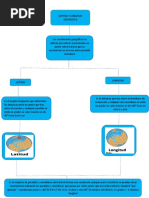 Suelos Humíferos - Características, Tipos y Animales - Lifeder PDF ...