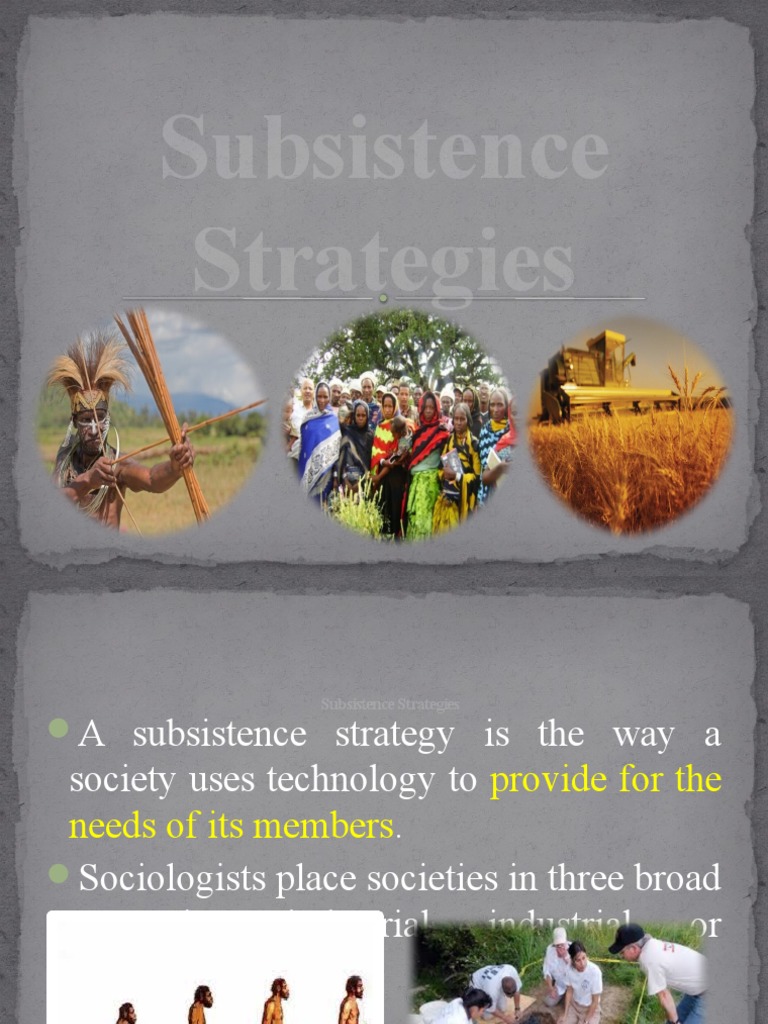 Subsistence Strategies | PDF | Agriculture | Society