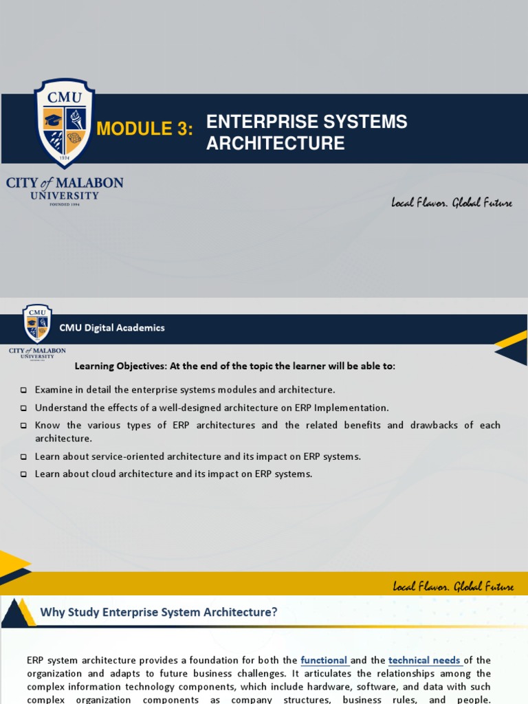 Enterprise Systems Architecture | PDF | Enterprise Resource Planning ...