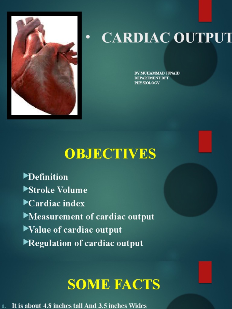 Cardiac Output: By:Muhammad Junaid Department:Dpt Physiology | PDF
