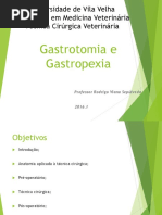 Cirurgia de Hartmann: Procedimentos e Cuidados | PDF ...