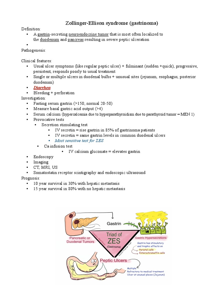 Zollinger-Ellison Syndrome Overview | PDF | Digestive System | Medical ...