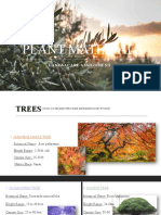 Tree Identification Cards | PDF | Flora | Trees
