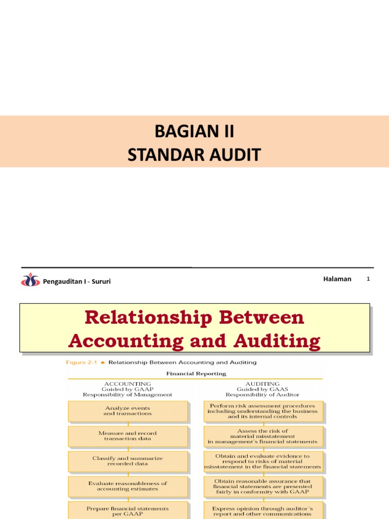 2 - Standar Audit | PDF