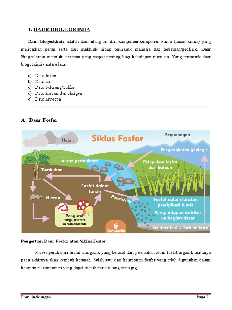 Daur Biogeokimia | PDF