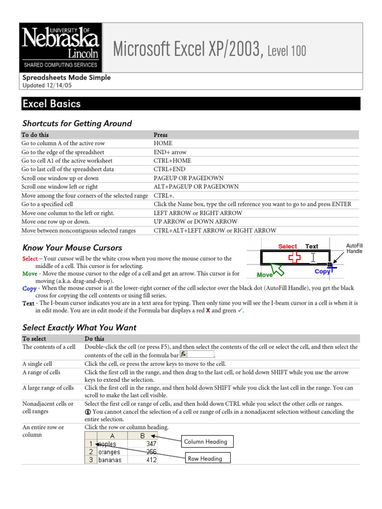 Microsoft Excel XP/2003,: Level 100 | PDF | Microsoft Excel | Spreadsheet