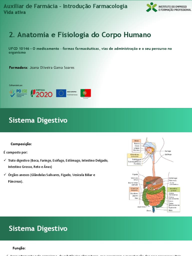 Anatomia e Fisiologia Do Corpo Humano | PDF | Digestão | Sistema ...