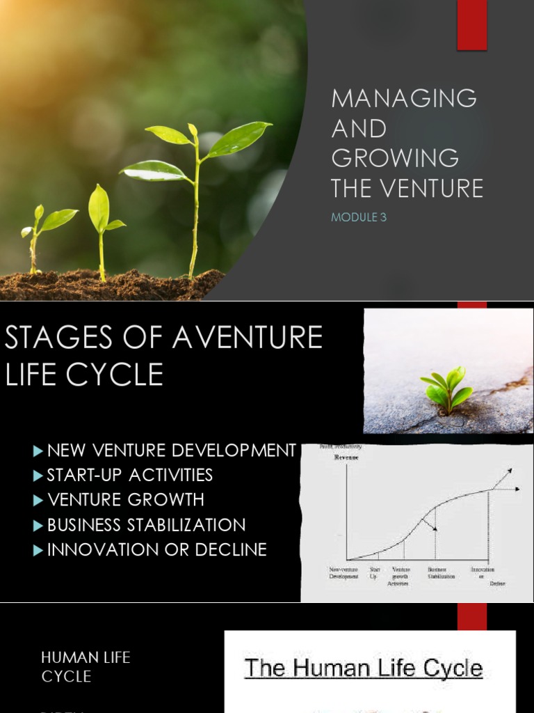 Stages of The Venture Life Cycle | PDF | Venture Capital | Corporate ...