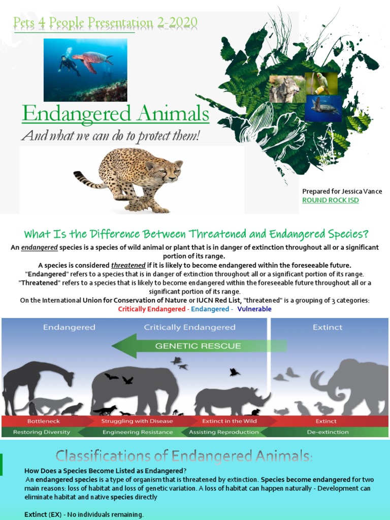 Endangered Animals | PDF | Endangered Species | Natural Environment