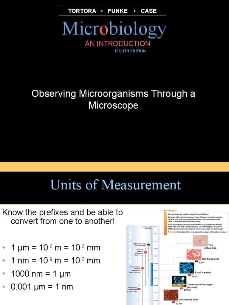 Micr Biology: Observing Microorganisms Through A Microscope | PDF | Staining | Microscope