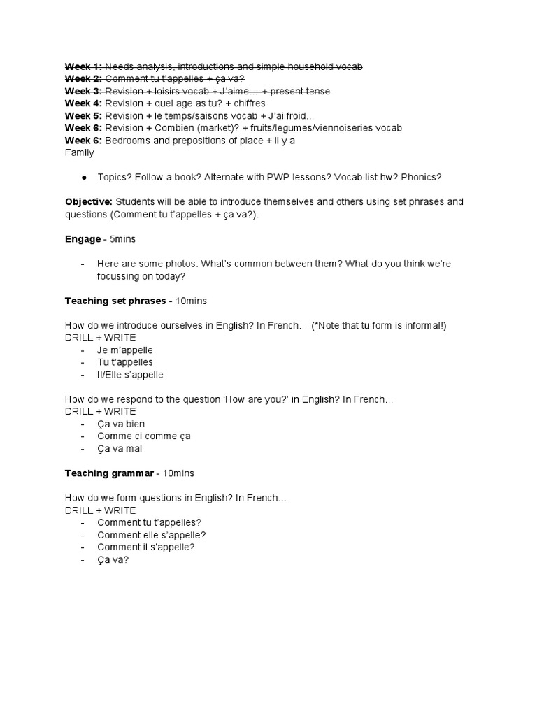 French Lesson Plan 1 | PDF