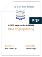 Class 12 DNA Project | PDF | Dna | Nucleotides