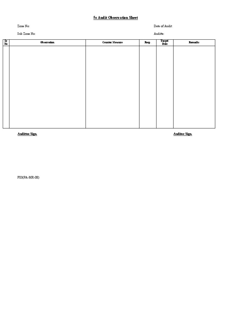5s Audit Observation Summary | PDF