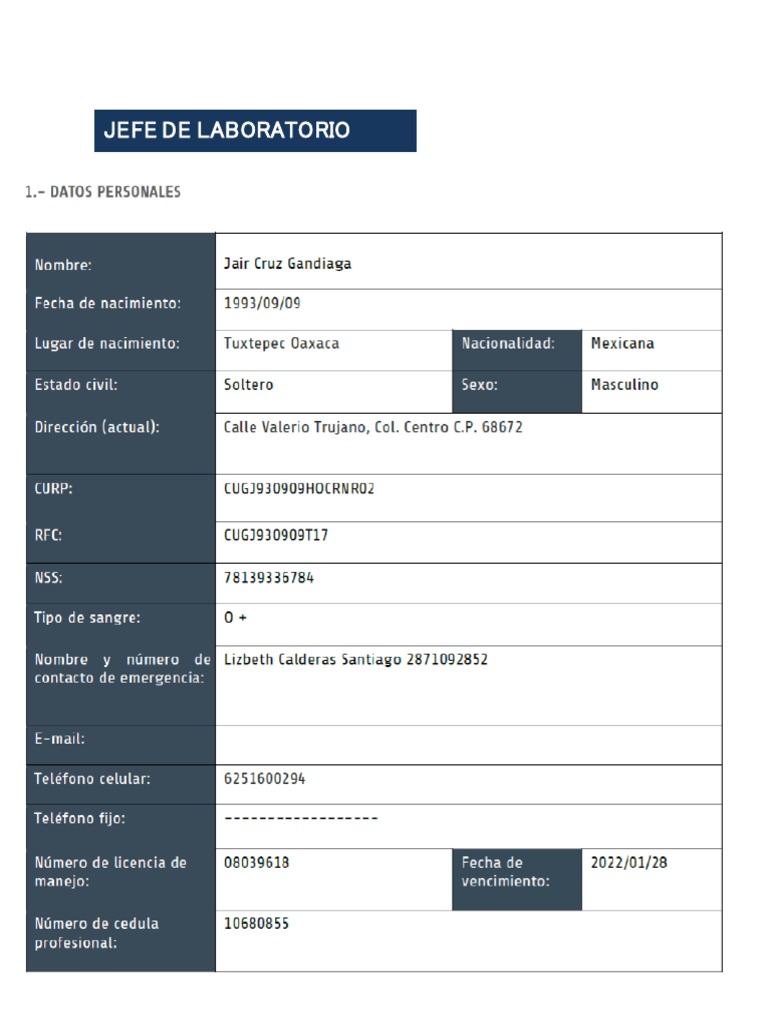 Curriculum Jefe de Laboratorista (Jair) | PDF
