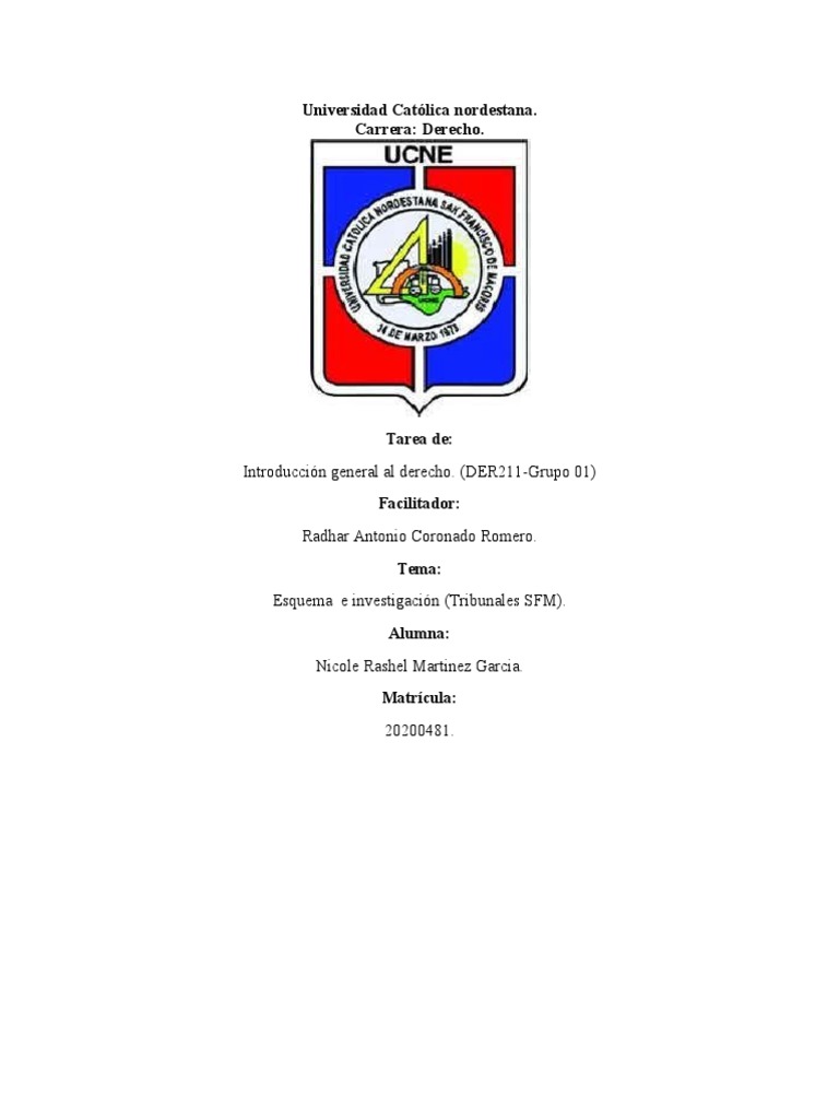 Tema 13, Descripcion y Esquema Del Poder Judicial Nicole Martinez | PDF ...