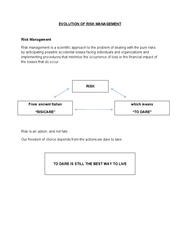 Evolution of Risk Management | PDF | Risk Management | Risk