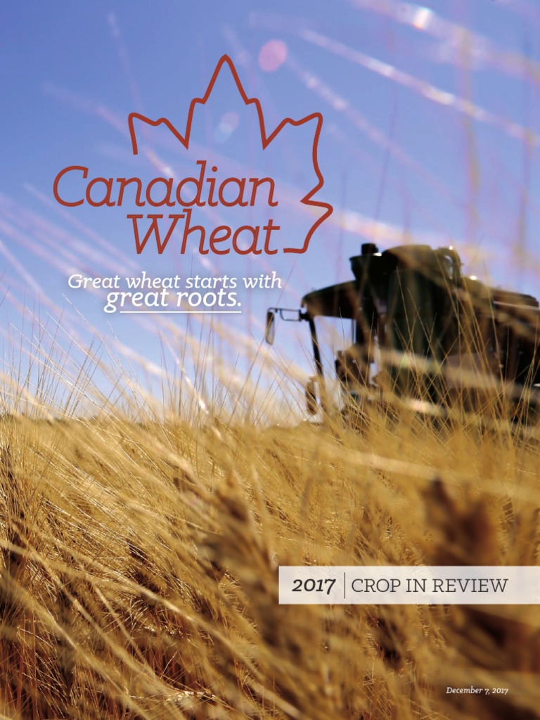 2017 Canadian Wheat Crop Review | PDF | Agriculture | Wheat