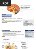 Fases Neurologicas de La Hipoglucemia | PDF