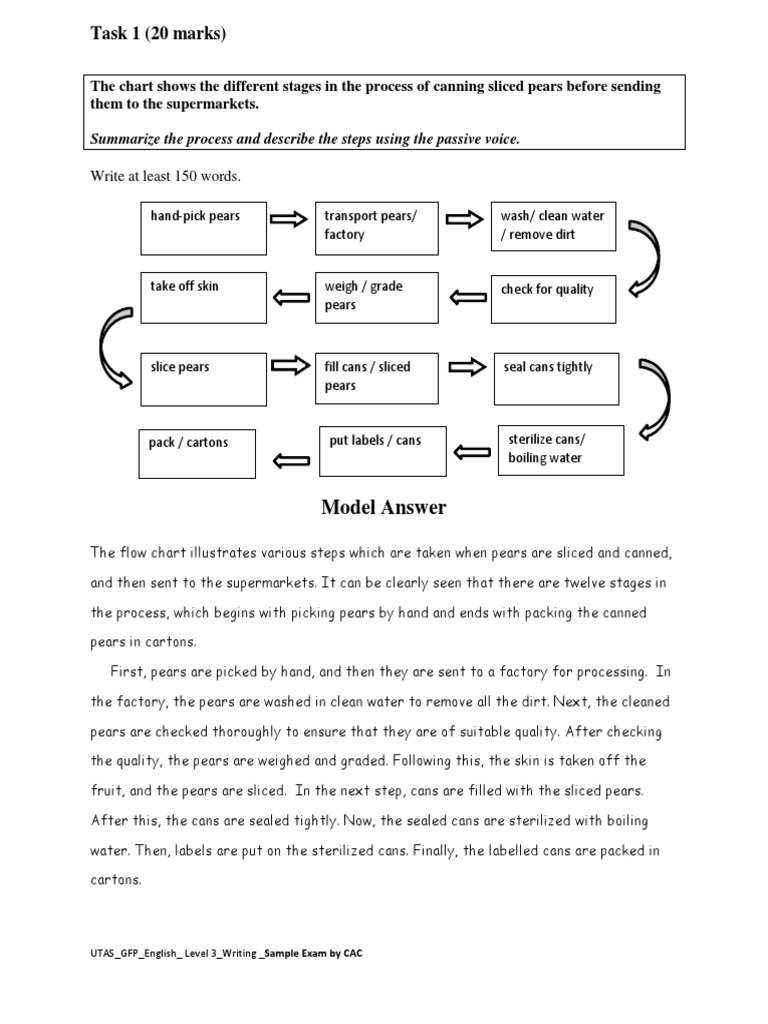 L3 Writing - Task 1 Process | PDF