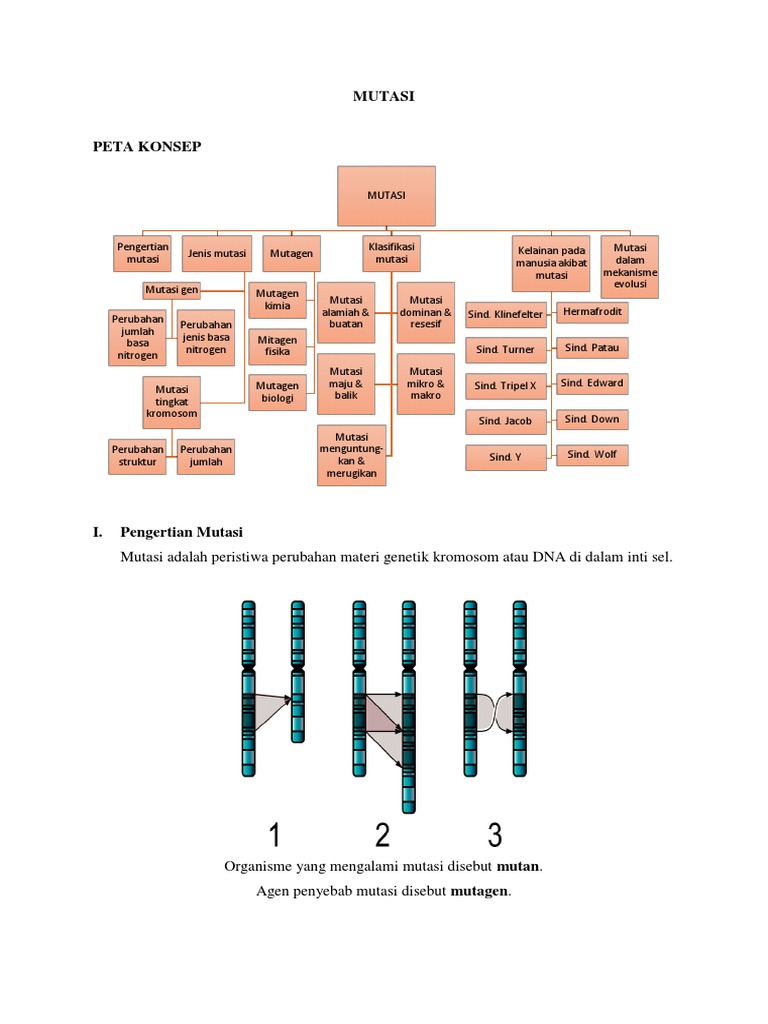 Materi Dan LKPD Mutasi Kelas XII | PDF