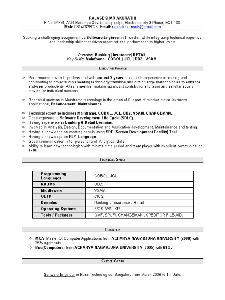 Sri Ni Vas MF Resume | PDF | Software Development | Banks