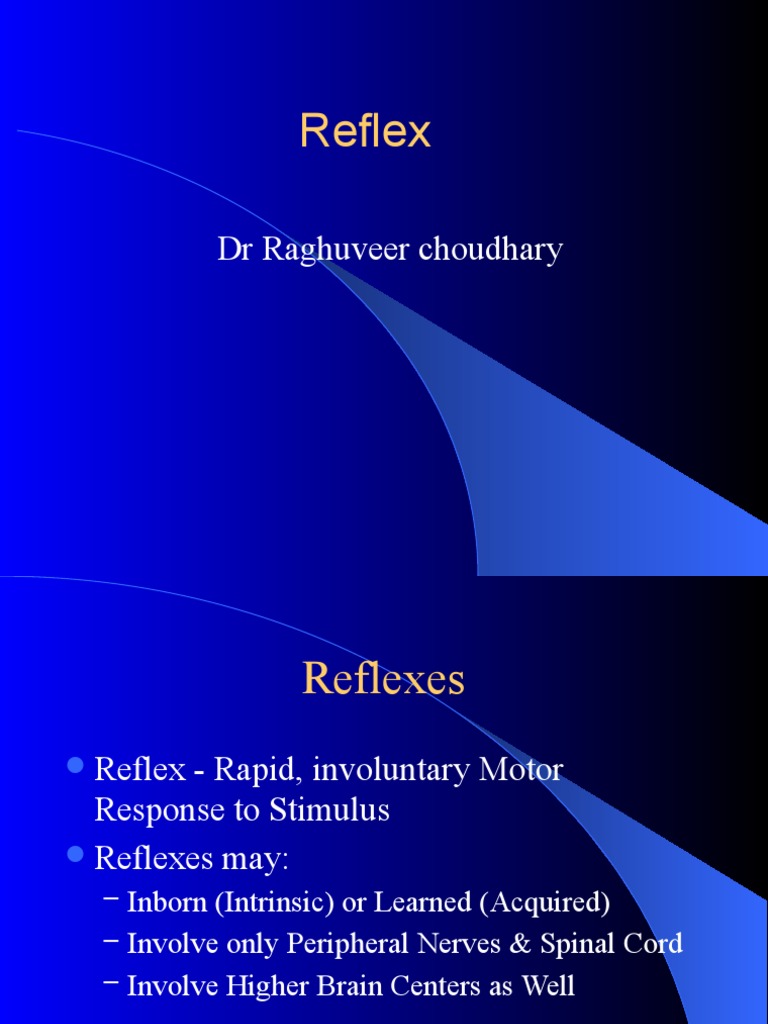 Reflex | PDF | Motor Neuron | Neurophysiology