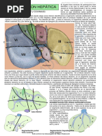 Arco de Riolano | PDF | Tinción | Anatomía