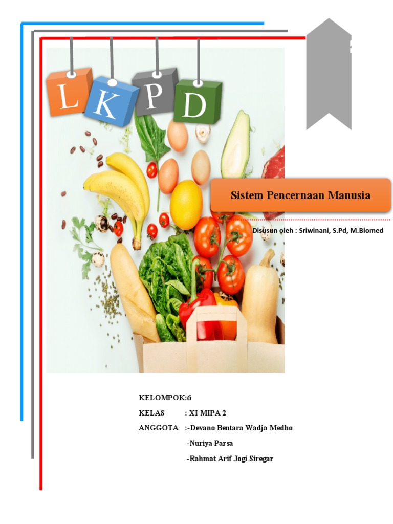 LKPD Pencernaan Word Blank | PDF | Kesehatan Holistik