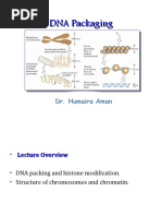 Hyperchromic Effect | PDF | Nucleic Acid Thermodynamics | Genetics