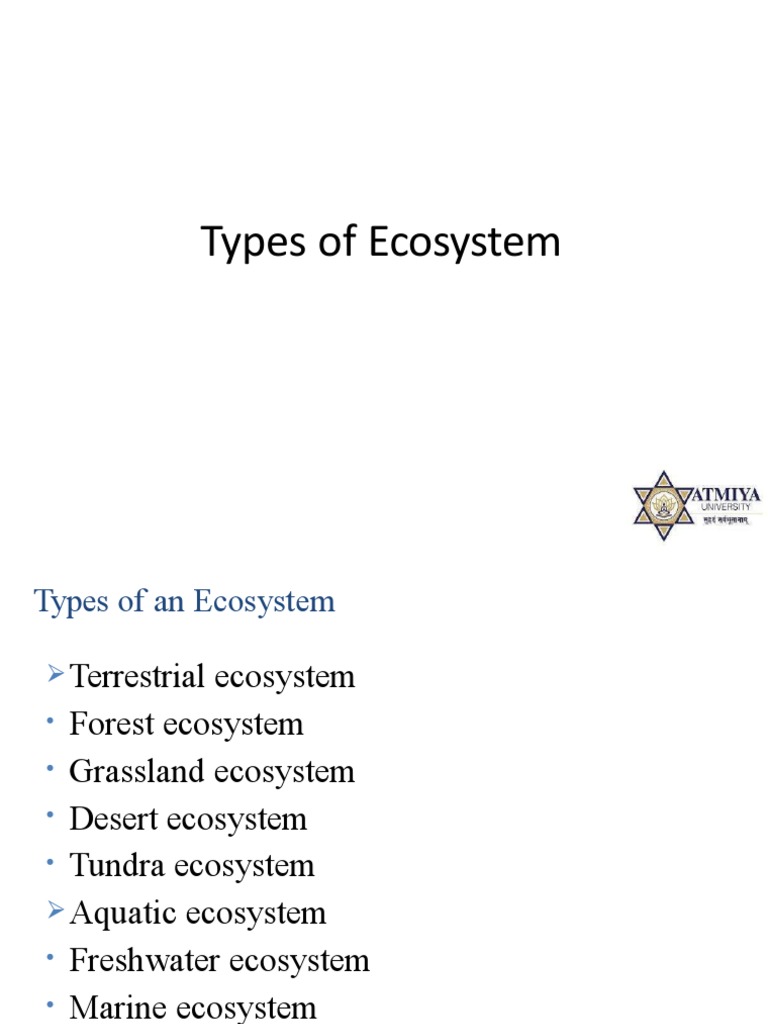 Types of Ecosystem | PDF | Home & Garden