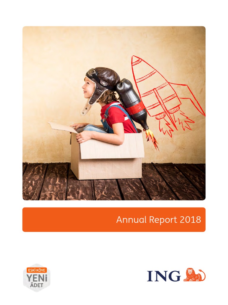 ING Bank 2018 Annual Report Summary | PDF | Audit | Banks