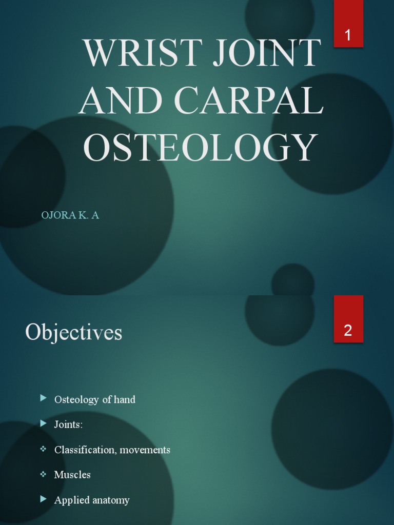 Wrist Joint and Carpal Osteology | PDF | Hand | Anatomical Terms Of Motion