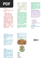 Los 7 Distritos Del Callao | PDF | Perú | Lima