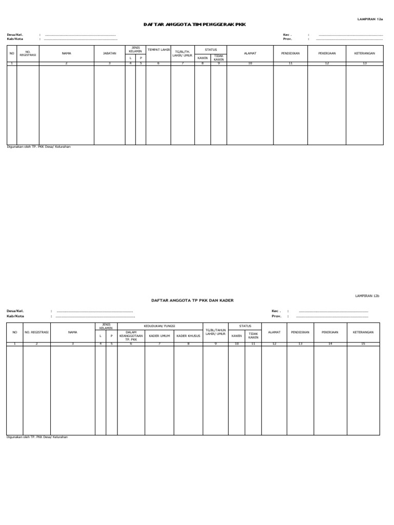 Format Data Umum PKK Terbaru | PDF