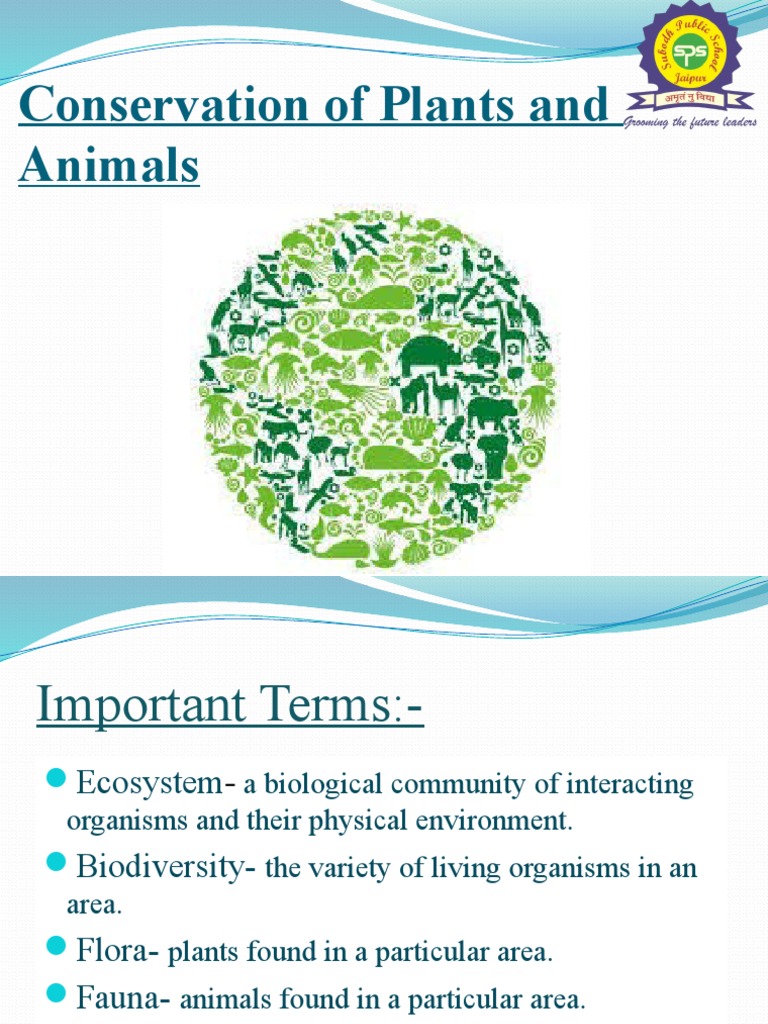 Conservation of Plant and Animals | PDF