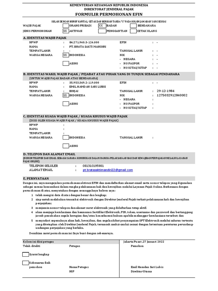 Form Permohonan Efin | PDF